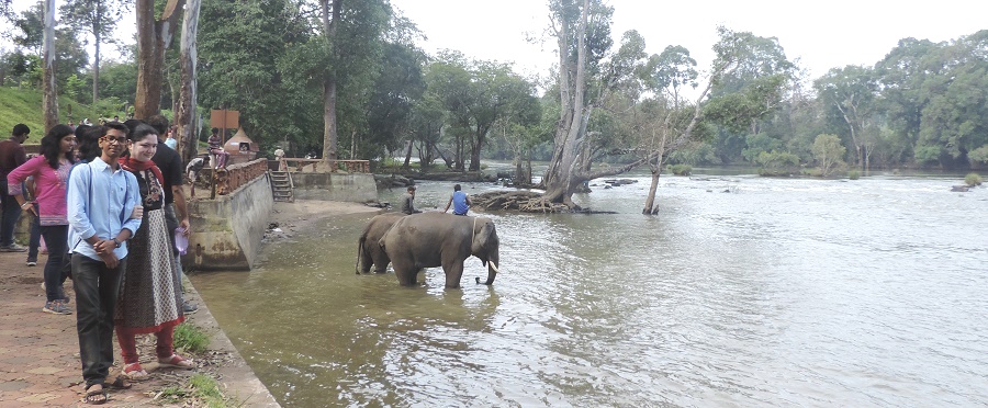 Kaveri connections – PEBBLES AND WAVES